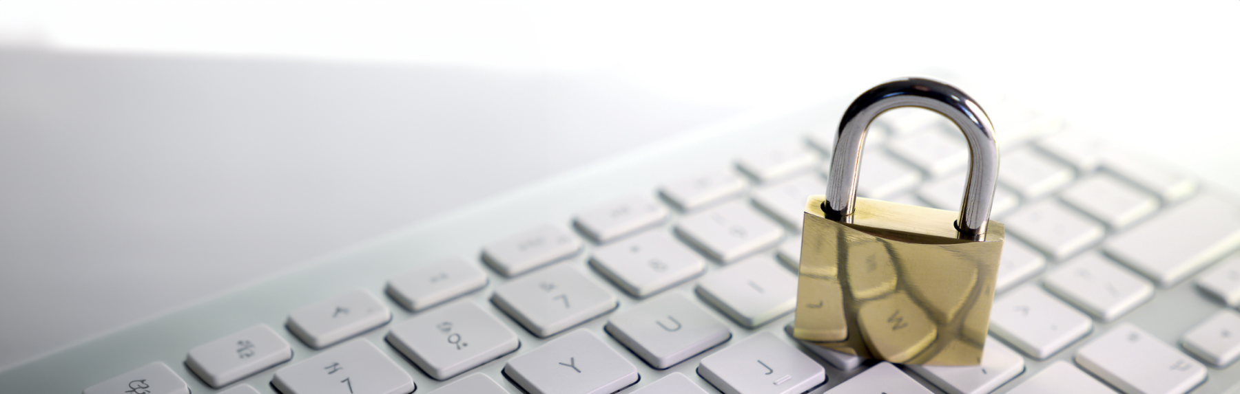 Thema: Informatieveiligheid - Native Consulting